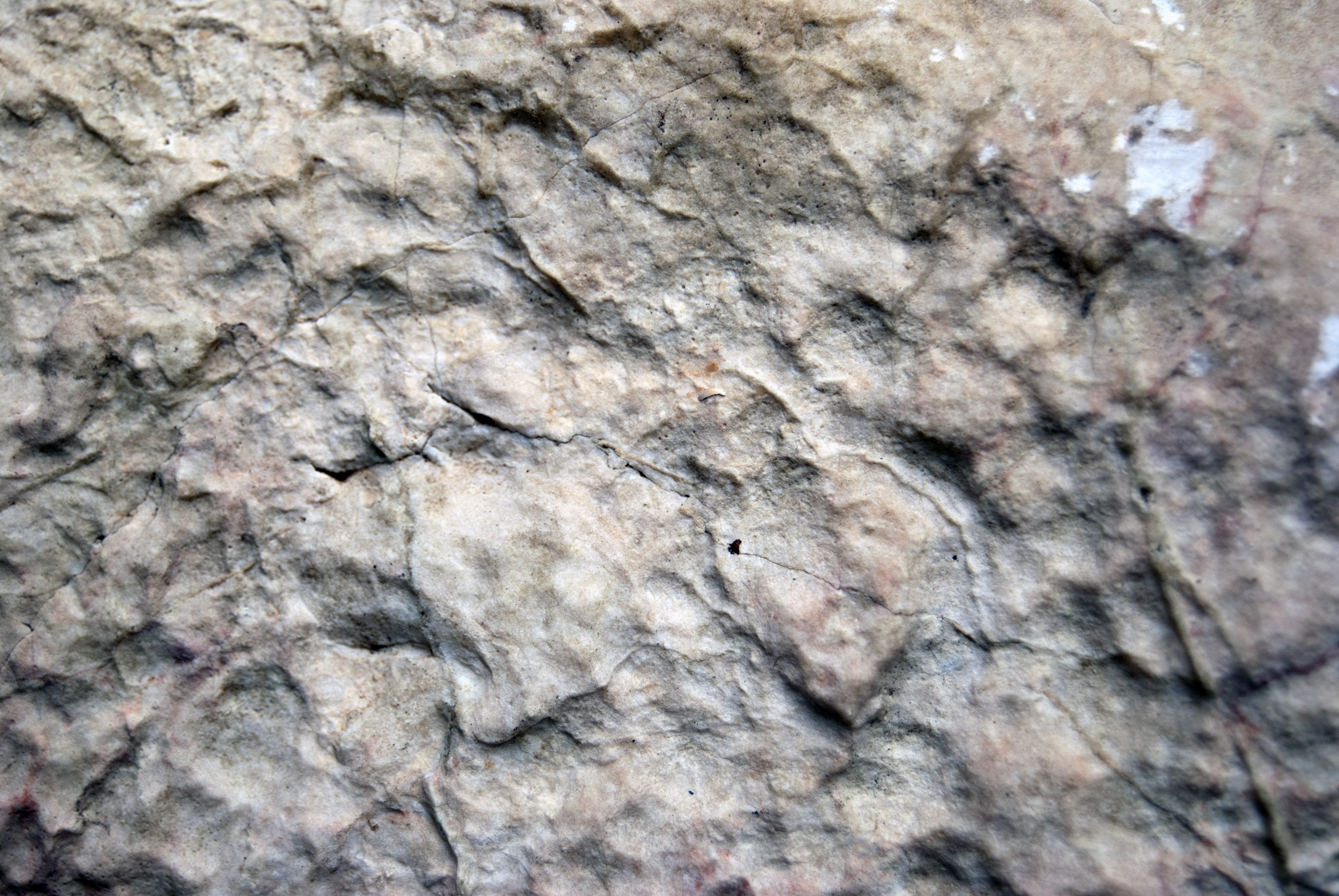 Assorted Rock Surface: Texture Pack - WebFX