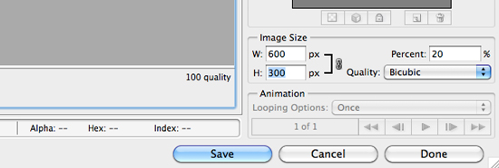 The Comprehensive Guide to Saving Images for the Web