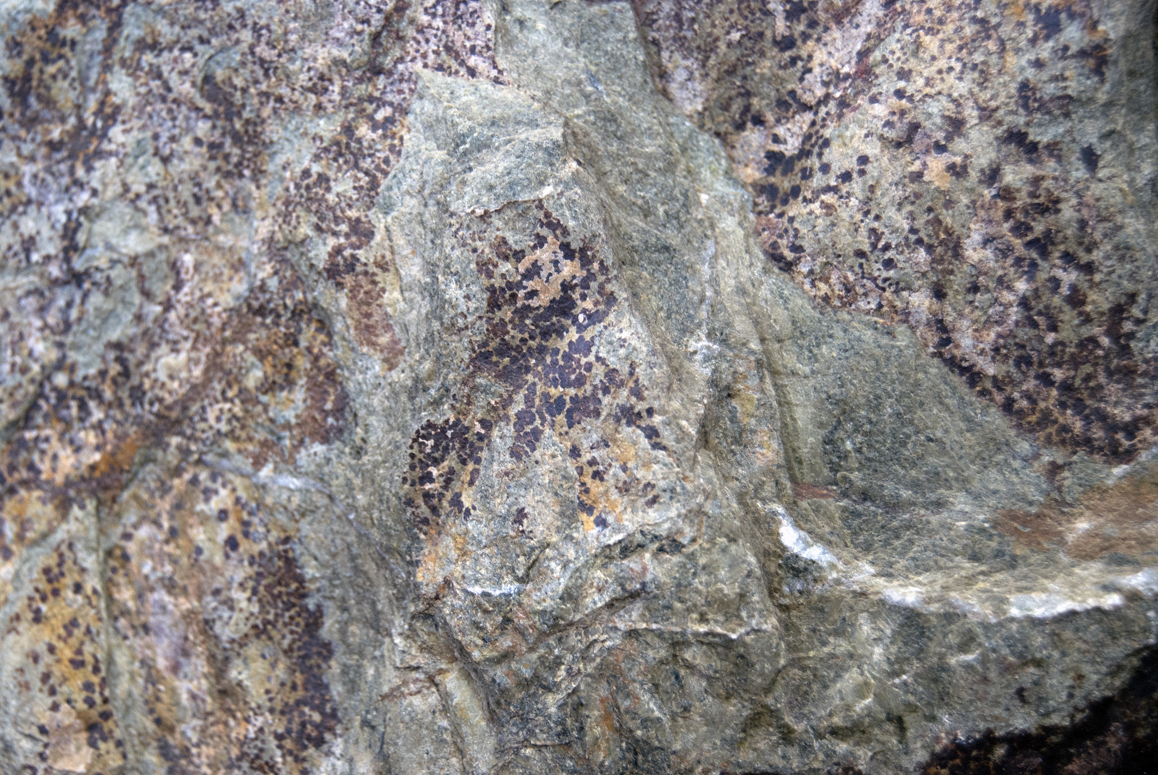 Assorted Rock Surface: Texture Pack - WebFX