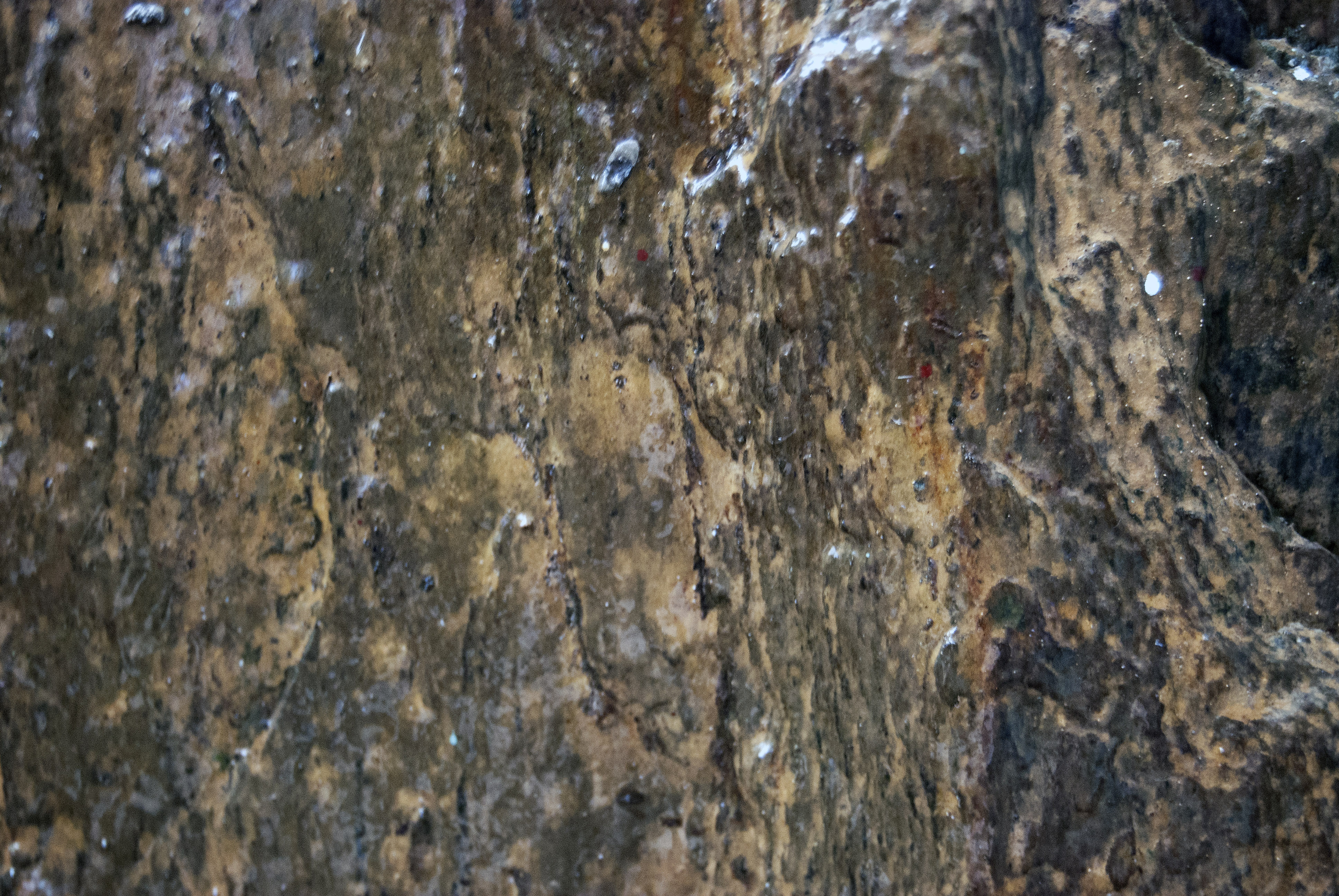 Assorted Rock Surface: Texture Pack - WebFX