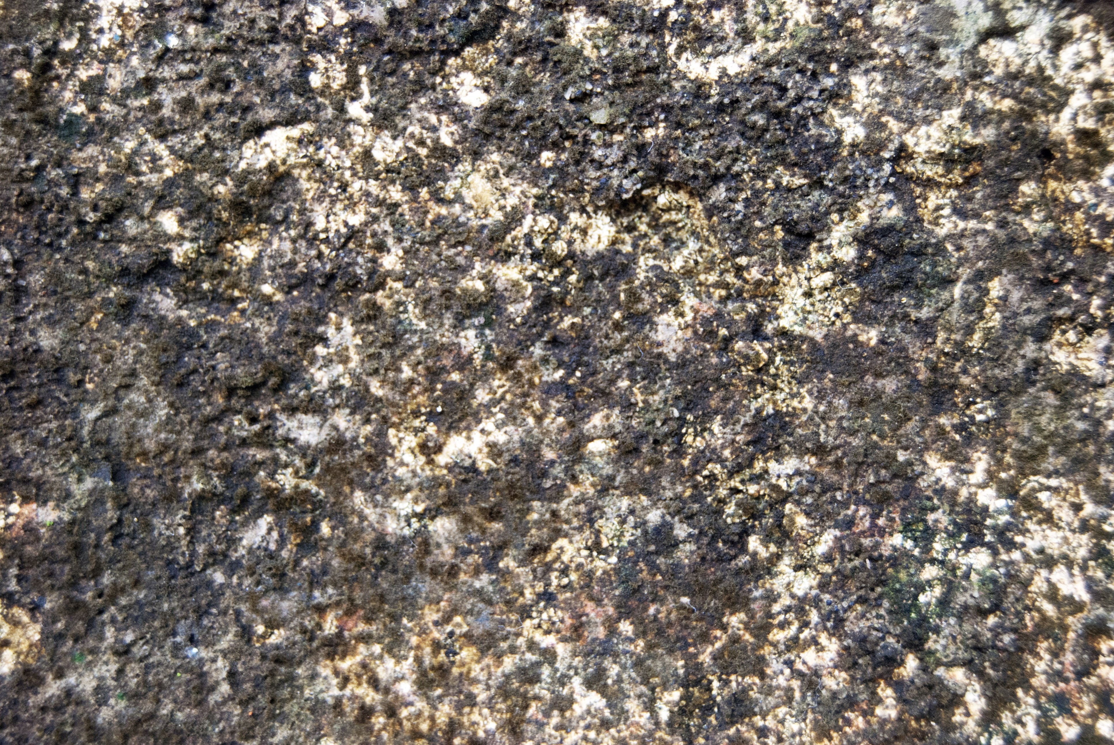 Assorted Rock Surface: Texture Pack - WebFX