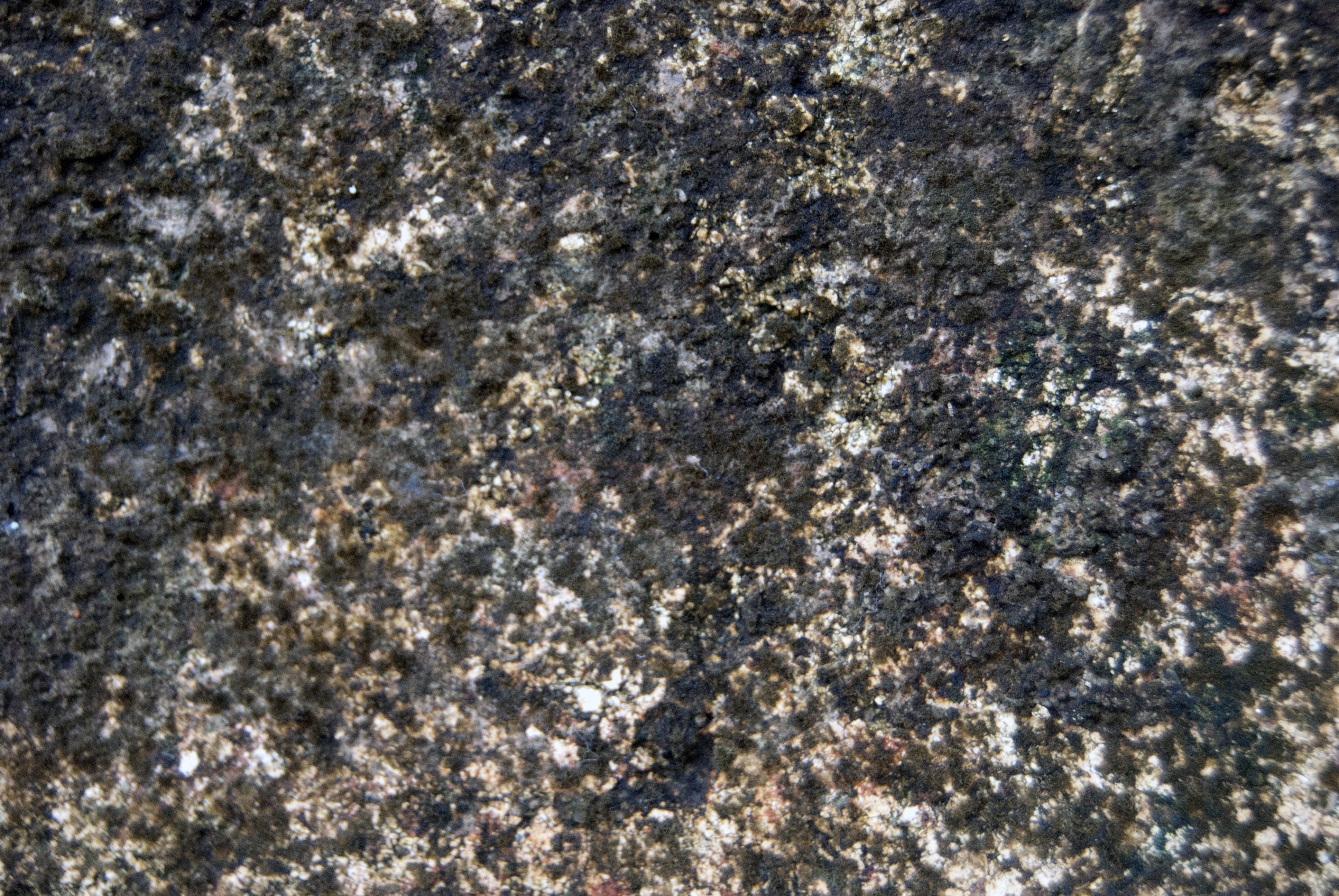 Assorted Rock Surface: Texture Pack - WebFX