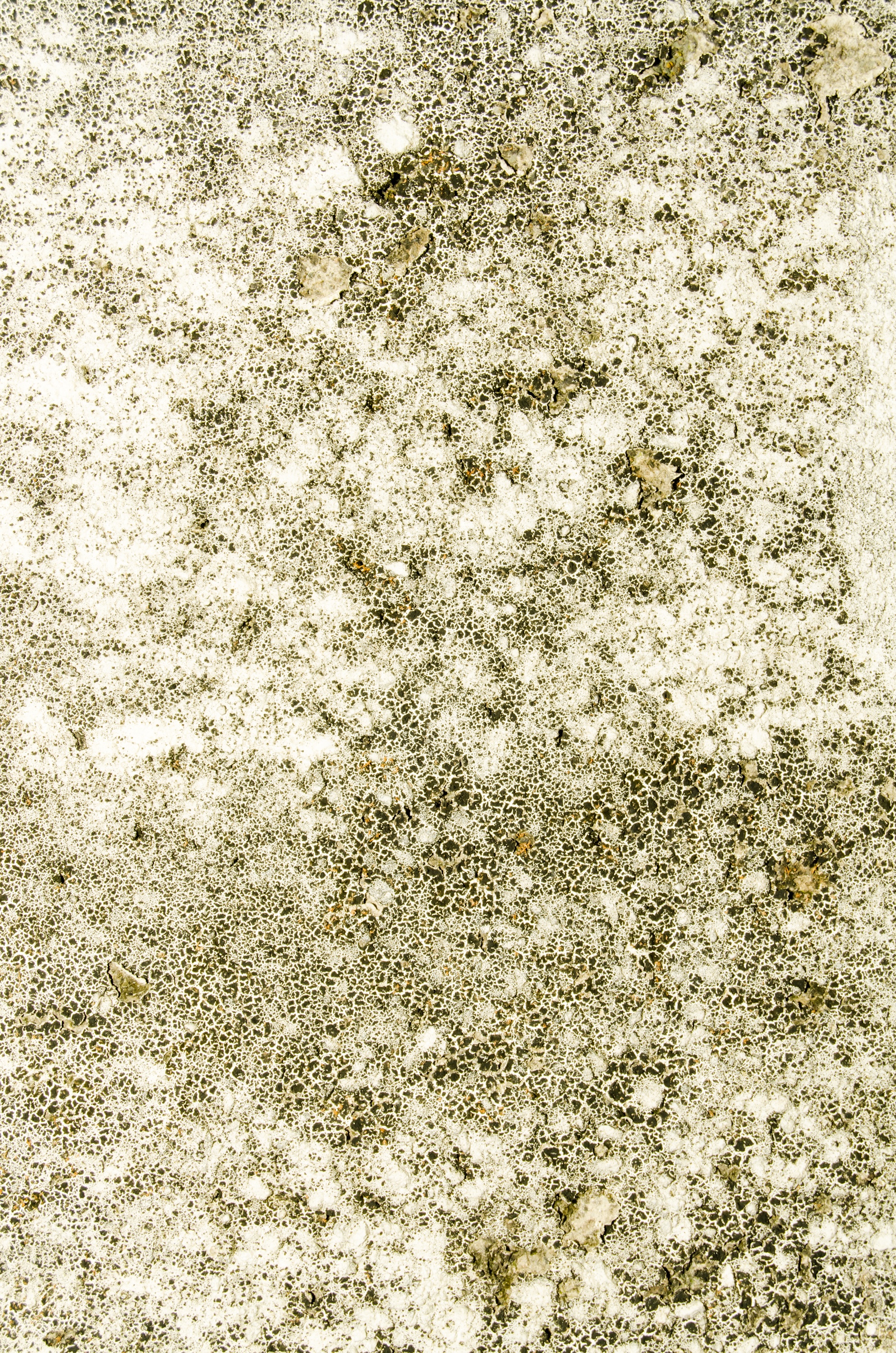 8 Free Distressed Wall Textures | WebFX