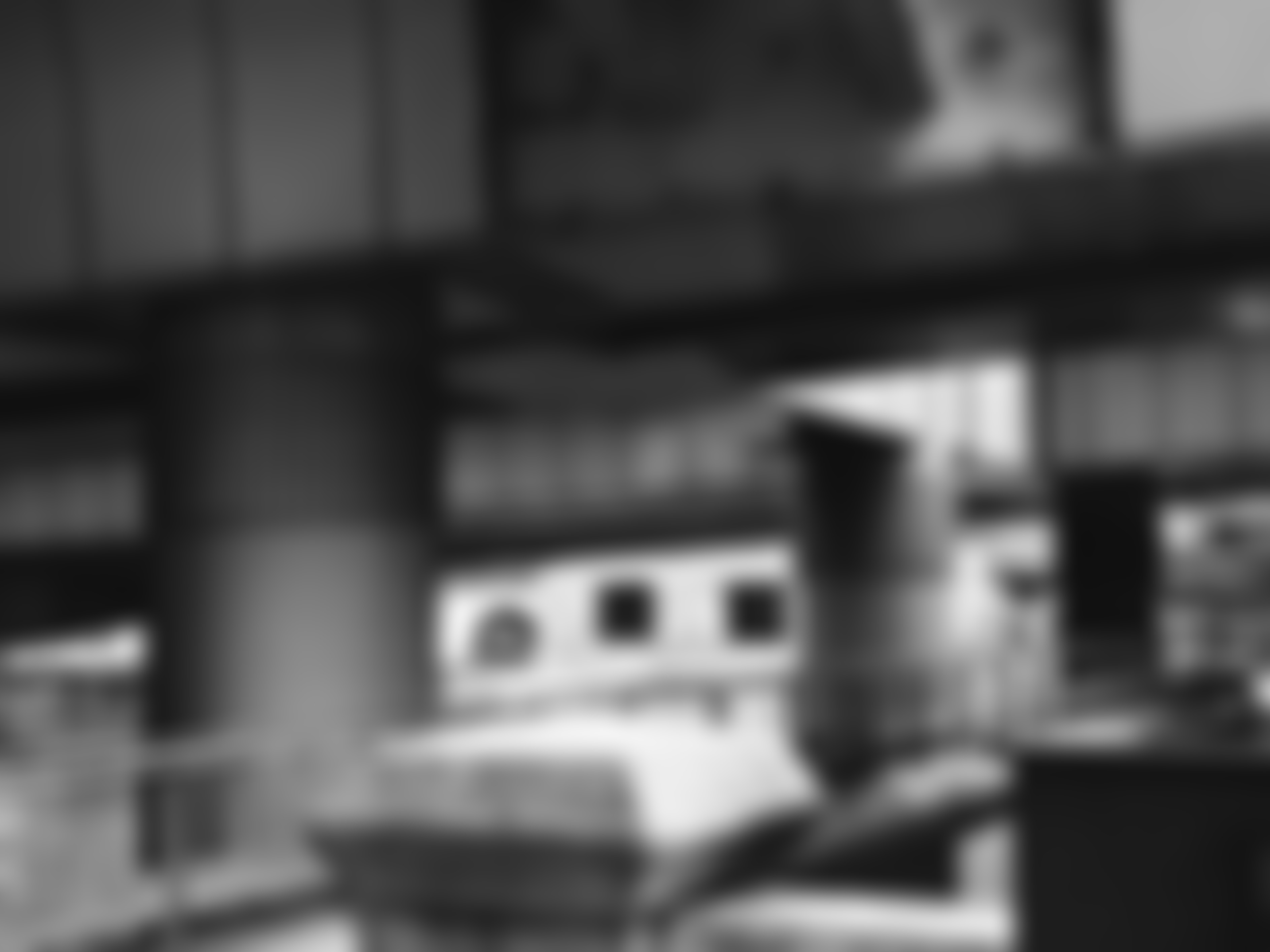 6 Free Blurred Background Photography