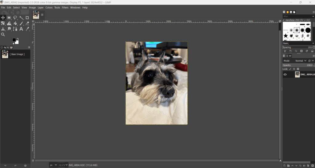 11 Best Image Editing Software Recommended by Experts