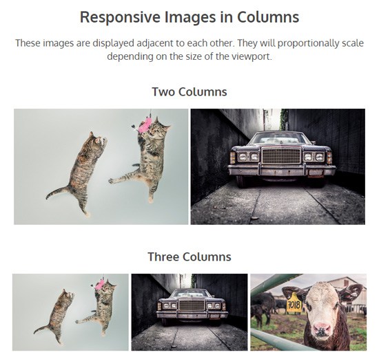 How To Make Images Responsive