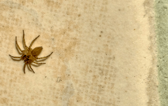 What Is Google Indexing? | Guide to Google’s Search Index