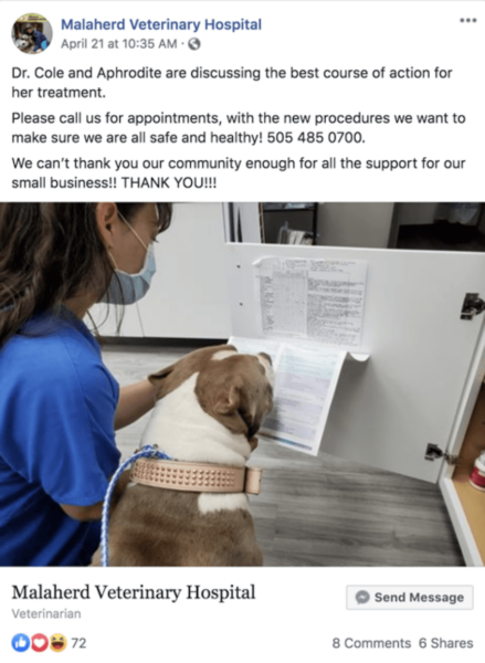 Digital Marketing for Veterinarians: 6 Smart Strategies