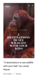 Google Stories: What They Are and How to Use Them