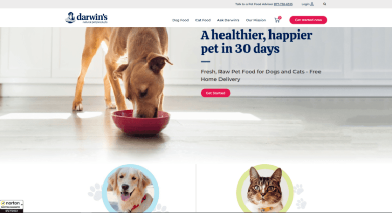 14 Great Pet Website Design Ideas (+ 5 Tips for Your Site)