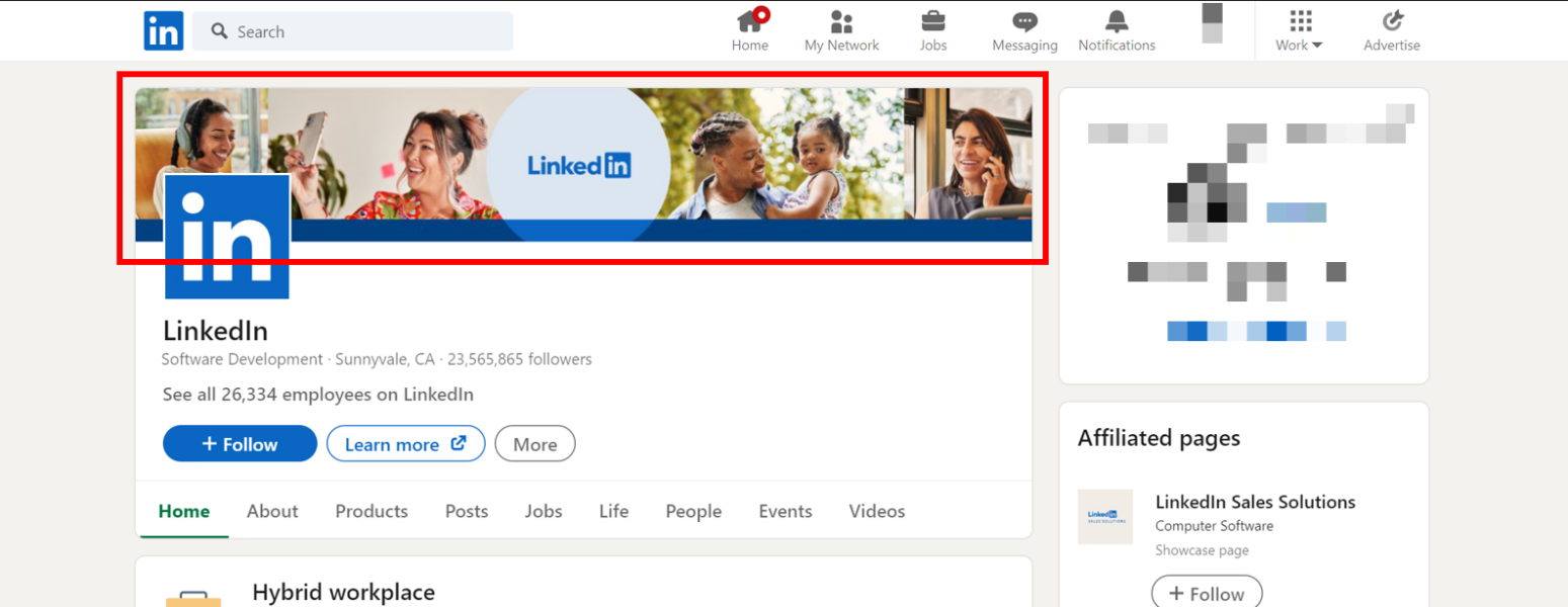LinkedIn 101: What You Need To Shape Your LinkedIn Strategy