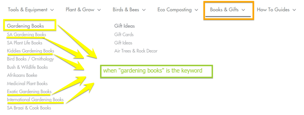 SEO Taxonomy: How to Optimize Your Site for SEO
