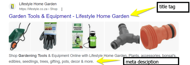 SEO Taxonomy: How to Optimize Your Site for SEO