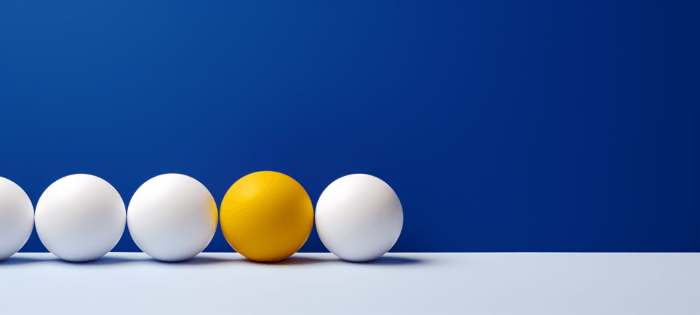 9 Niche Marketing Examples: How To Win Big in Niche Markets