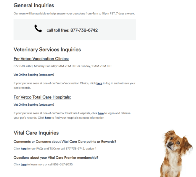 40 Best Contact Us Pages to Draw Inspiration From