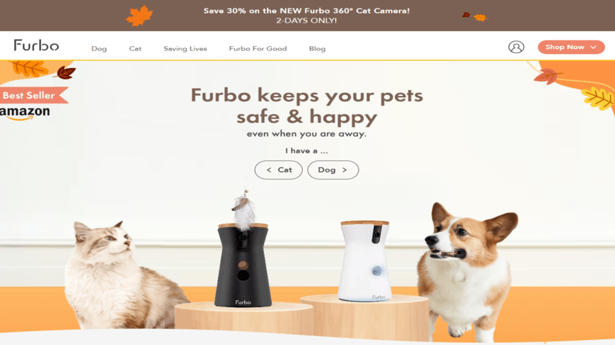 5 Company Website Examples to Inspire Your Business