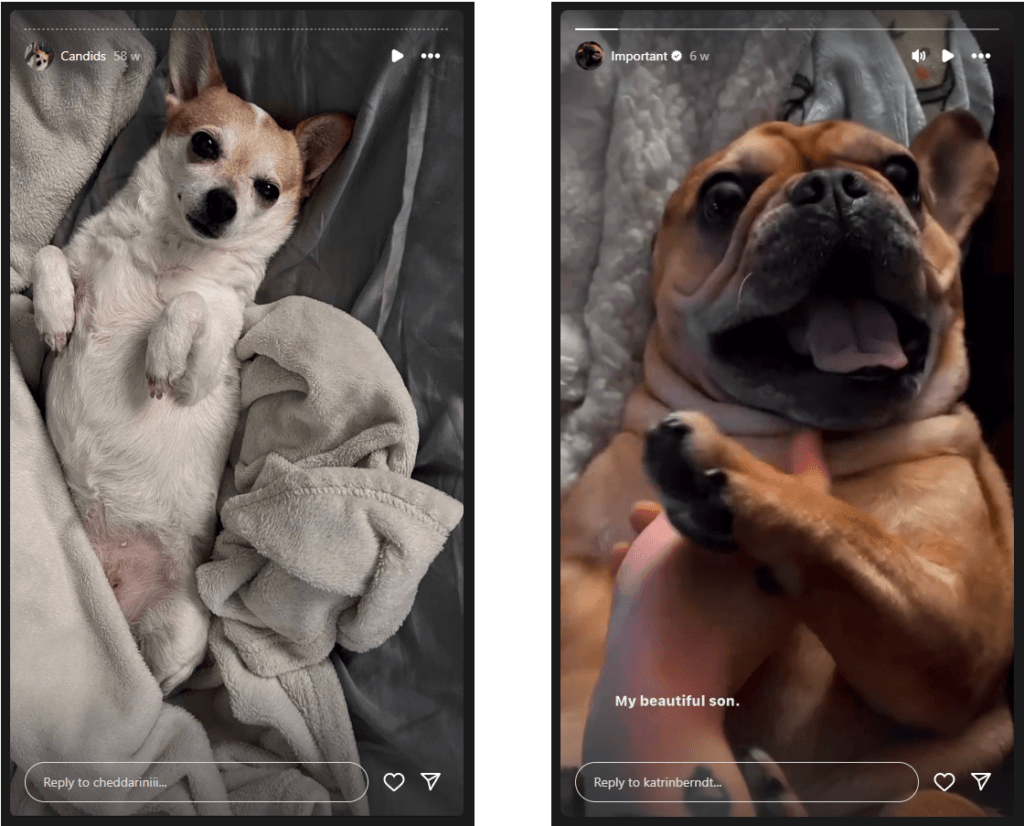 8 Instagram Story Ideas to Use in Your Next Campaign