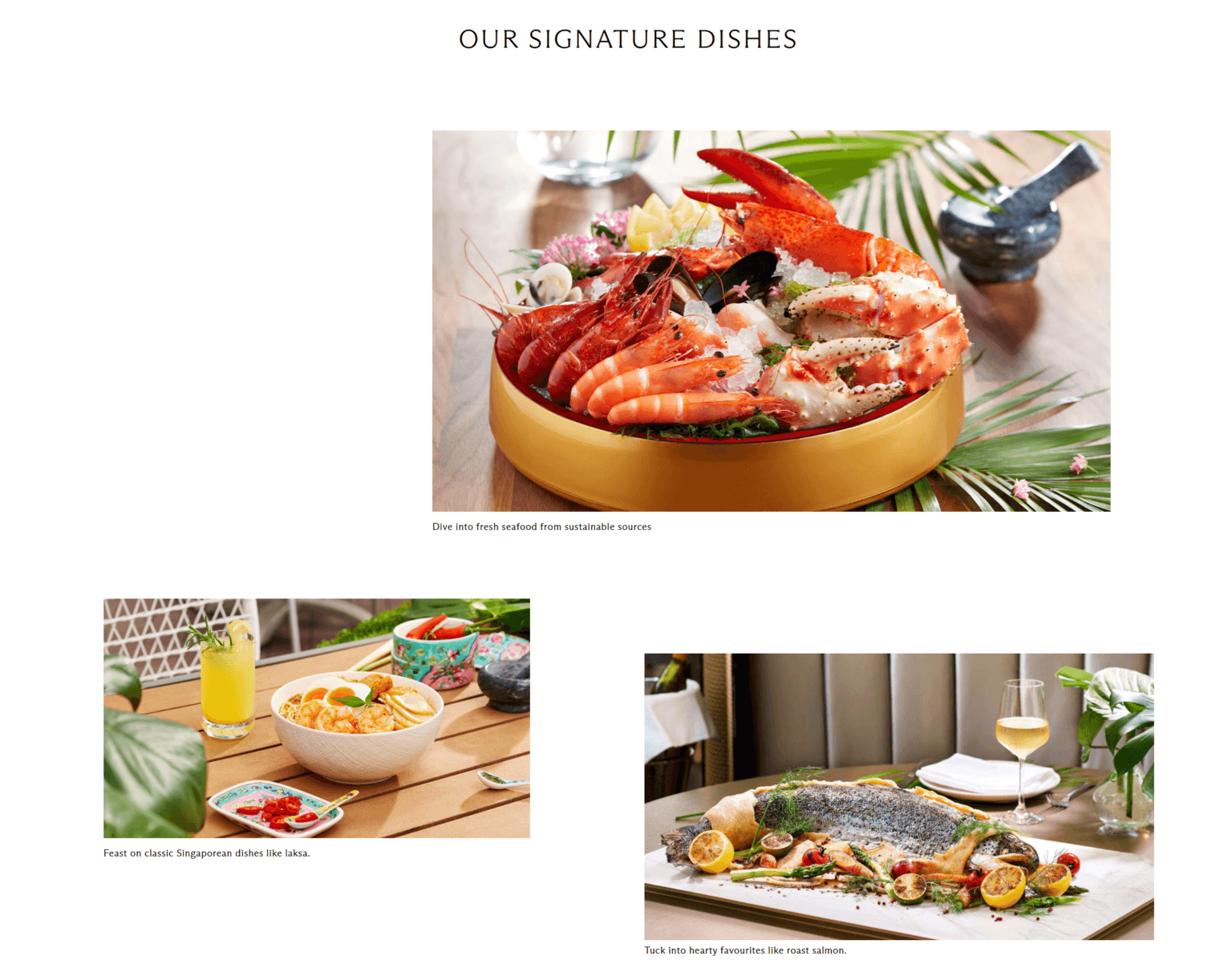 20+ Company Website Examples to Inspire Your Business