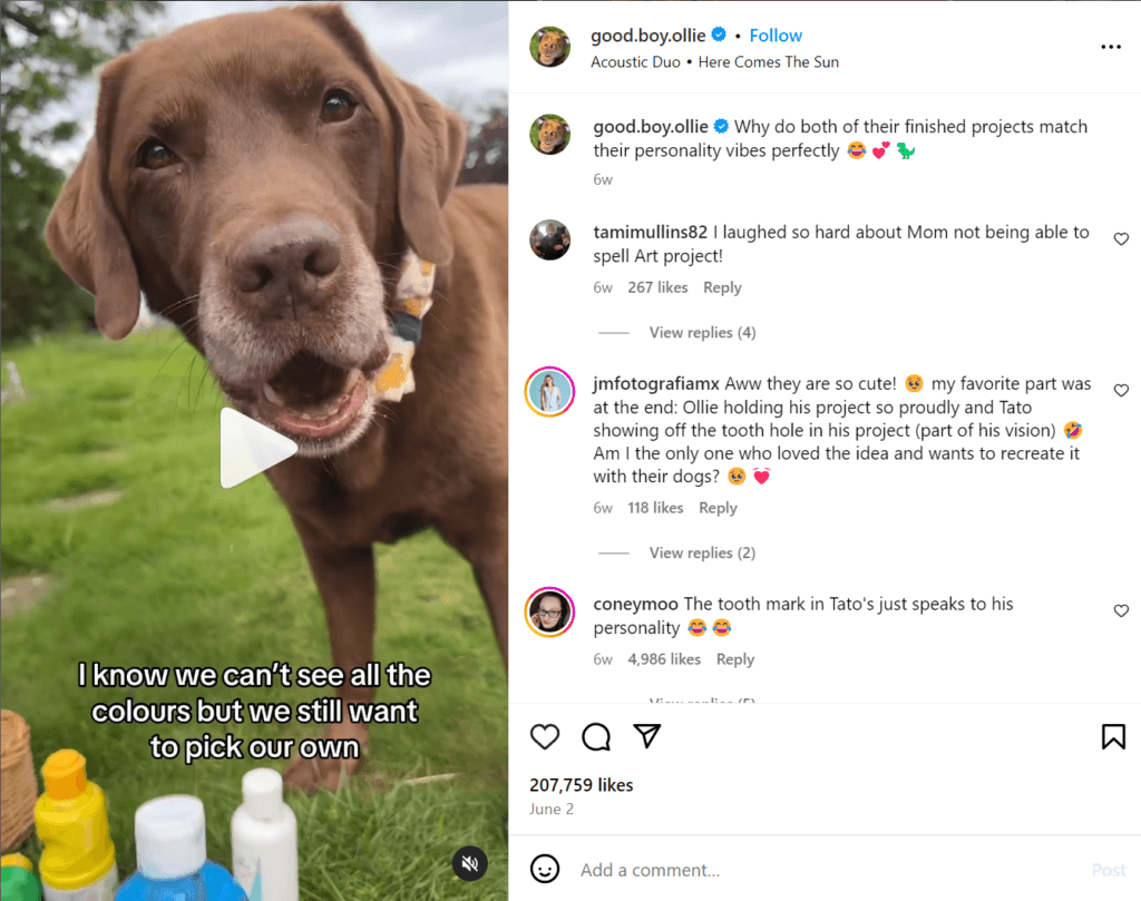 How Vertical Videos Can Fit Into Your Content Strategy