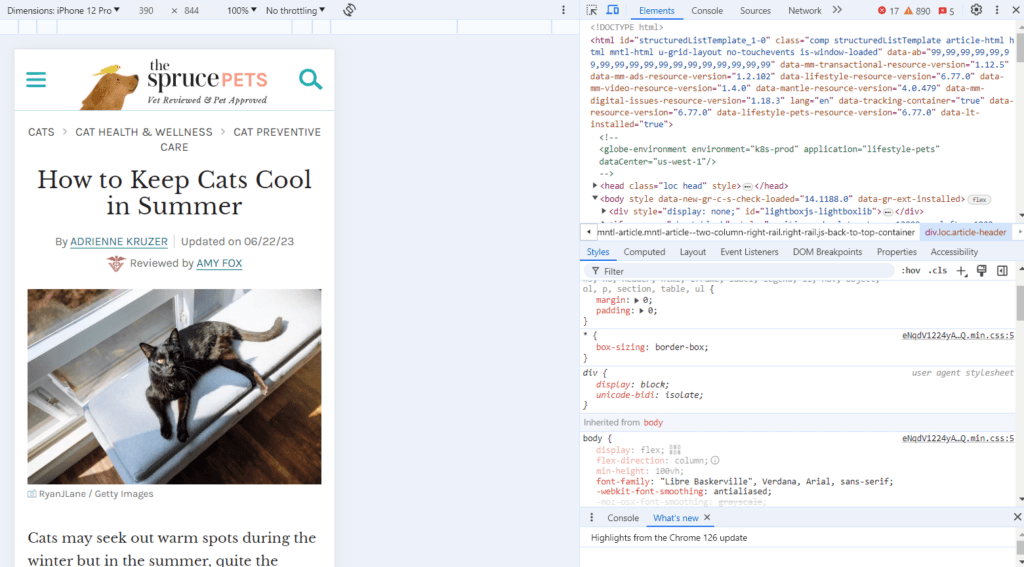 SEO Website Design Guide: How To Build a Site That Ranks