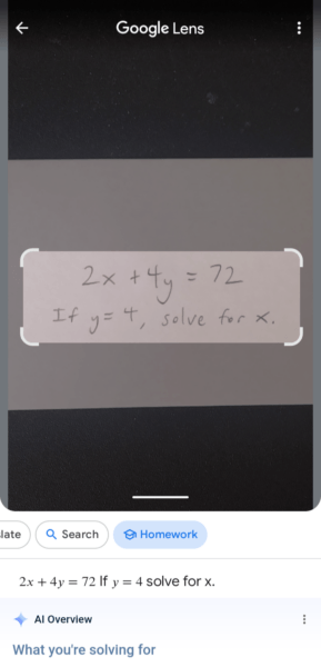 What Is Google Lens and How Do You Use It? - WebFX