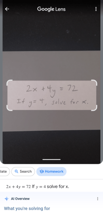 What Is Google Lens and How Do You Use It? - WebFX