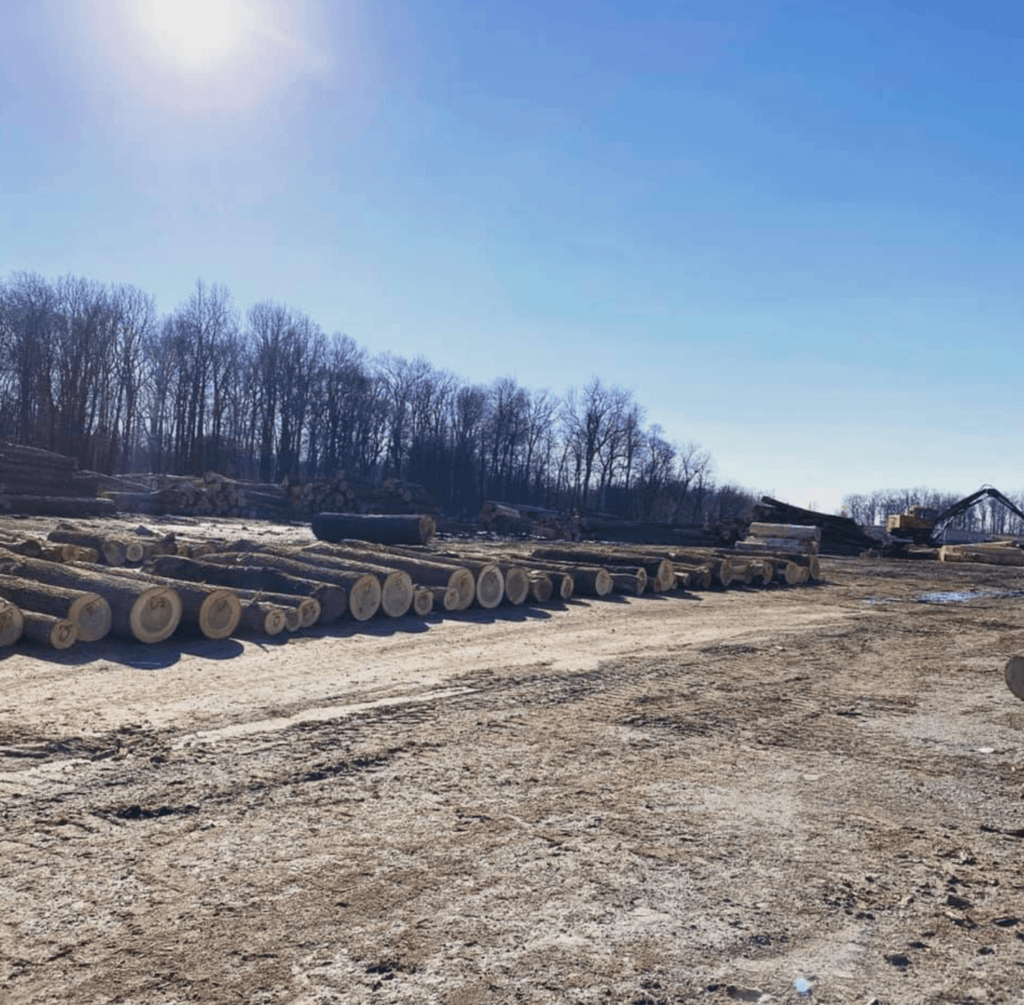 Beiler's Sawmill | RevenueCloudFX Case Study